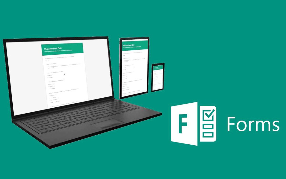 Cómo crear encuestas online usando Microsoft Forms desde el móvil